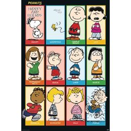 Poster Snoopy & Friends - PEANUTS