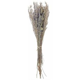 Beliani Trockenblumen Violett und Grün 70 cm Lavendel Getrockneter Blumenstrauß Getrocknete Blumen Dekoration - Braun