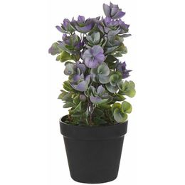 Beliani Kunstpflanze Grün Violett mit Schwarzem Blumentopf aus Kunststoff 31 cm Sukkulente Form Dekoration Wohnzimmer Indoor Modern