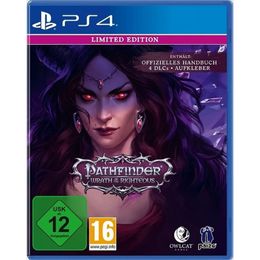 Koch Media Pathfinder: Wrath of the Righteous Limited Edition