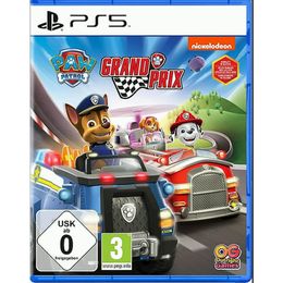 Atari Paw Patrol Grand Prix PS-5