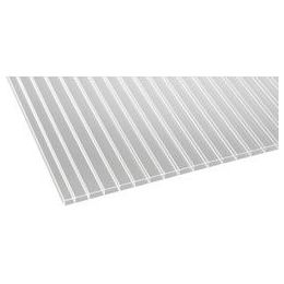 Gutta Premium Terrassendach 309,4 x 306 cm anthrazit Acryl klar 16 mm