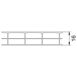 Gutta Polycarbonat-Doppelstegplatte 350 x 98 cm 16 mm klar