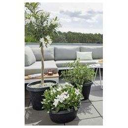 Scheurich Pflanzgefäß Stones Serie 285 anthrazit Ø 47 cm