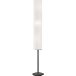 Fischer und Honsel Stehlampe FISCHER & HONSEL "Ramas" Lampen Gr. Höhe: 165,00 cm, beige (sandschwarz) Standleuchten