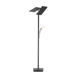 Stehlampe Paul Neuhaus "ARTUR" Lampen grau (anthrazit) LED Deckenfluter