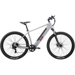 E-Bike Telefunken "Aufsteiger M921" E-Bikes Gr. 48 cm, 29 Zoll (73,66 cm), grau E-Bikes