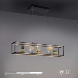 LED Pendelleuchte Places of Style "Cashel" Lampen Gr. Höhe: 120,00 cm, schwarz LED Hängeleuchten und Pendelleuchten