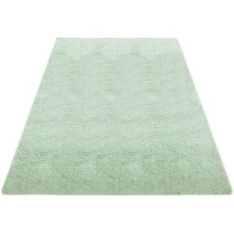 Teppich my home "Desner, Hochflor Teppiche" Teppiche Gr. B/L: 240 cm x 320 cm, 38 mm, 1 St., grün Esszimmerteppiche