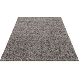 Hochflor-Teppich Andas "Saron" Teppiche Gr. B/L: 240 cm x 320 cm, 35 mm, 1 St., grau Esszimmerteppiche
