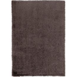 Hochflor-Teppich OCI DIE TEPPICHMARKE "Polaris Shaggy" Teppiche Gr. B/L: 200 cm x 290 cm, 50 mm, 1 St., braun (dunkelbraun) Esszimmerteppiche