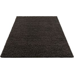 Hochflor-Teppich Andas "Saron" Teppiche Gr. B/L: 200 cm x 290 cm, 35 mm, 1 St., grau (anthrazit) Esszimmerteppiche