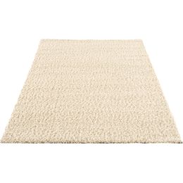 Hochflor-Teppich Andas "Saron" Teppiche Gr. B/L: 240 cm x 320 cm, 35 mm, 1 St., beige (creme) Esszimmerteppiche