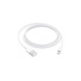 Apple Lightning to USB Cable - 1m