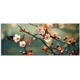 Glasbild Artland "Japanische Kirsch Sakura Blumen" Bilder Gr. B/H: 125 cm x 50 cm, Blumen, 1 St., blau Glasbilder