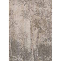LOOKS by Wolfgang Joop Fototapete "Birch Trees" Tapeten Gr. B/L: 200 m x 270 m, Rollen: 1 St., grau Fototapeten Natur