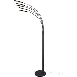 LED Stehlampe Trio LEUCHTEN "Reed" Lampen Gr. Höhe: 196 cm, schwarz LED Bogenlampe Bogenlampen