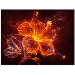 Glasbild Artland "Feuerblume" Bilder Gr. B/H: 80 cm x 60 cm, Blumen, 1 St., rot Glasbilder