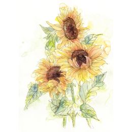 Komar Vliestapete "Girasol" Tapeten Gr. B/L: 200 m x 250 m, Rollen: 1 St., gelb (gelb, grün) Blumentapeten