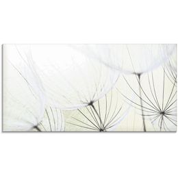 Glasbild Artland "Pusteblumen-Samen aufgehellt" Bilder Gr. B/H: 100 cm x 50 cm, Blumen, 1 St., grün Glasbilder