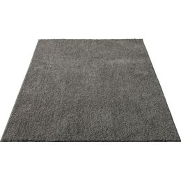 Hochflor-Teppich my home "Andor" Teppiche Gr. B/L: 200 cm x 290 cm, 25 mm, 1 St., grau (anthrazit) Esszimmerteppiche