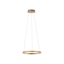 Pendelleuchte JUST LIGHT "RITUS" Lampen Gr. Ø 3,9 cm, goldfarben (messingfarben matt) LED Hängeleuchten und Pendelleuchten