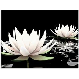 Glasbild Artland "Zwei Lotusblumen auf dem Wasser" Bilder Gr. B/H: 80 cm x 60 cm, Blumen, 1 St., schwarz Glasbilder