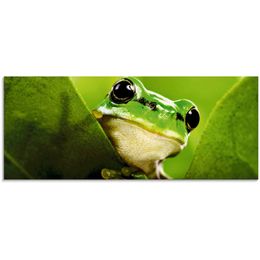 Glasbild Artland "Ausspähender Frosch" Bilder Gr. B/H: 125 cm x 50 cm, Wassertiere, 1 St., grün Glasbilder