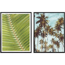 Poster Wall-Art "Palmenblätter Miami Palmen Urlaub" Bilder Gr. B/H: 50 cm x 60 cm, 2 St., bunt Poster