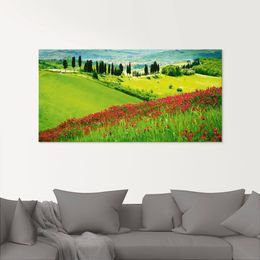 Glasbild Artland "Hügel und Zypressen" Bilder Gr. B/H: 125 cm x 50 cm, Felder, 1 St., grün Glasbilder