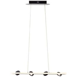 Pendelleuchte Brilliant "Nebeker" Lampen Gr. 4 flammig, Höhe: 120 cm, schwarz LED Hängeleuchten und Pendelleuchten