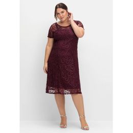 Spitzenkleid sheego "Große Größen" Gr. 42, Normalgrößen, lila (aubergine) Damen Kleider Knielange