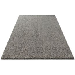 Hochflor-Teppich Andas "Ilvi" Teppiche Gr. B/L: 160 cm x 230 cm, 31 mm, 1 St., grau (silbergrau) Esszimmerteppiche