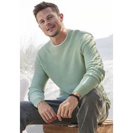 Strickpullover AUTHENTIC LE JOGGER Gr. S (44/46), grün Herren Pullover Rundhalspullover