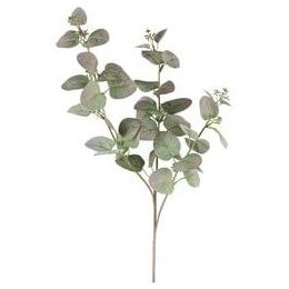 Kunstpflanze Eukalyptuszweig in Grün