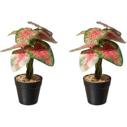 Künstliche Zimmerpflanze Caladium Pflanze Sukkulente, Creativ green, Höhe 30 cm, grün|rot