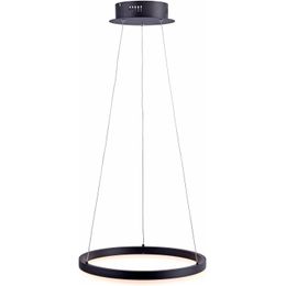 LED Pendelleuchte Paul Neuhaus "TITUS" Lampen Gr. Ø 40 cm Höhe: 120 cm, grau (anthrazit) LED Hängeleuchten und Pendelleuchten