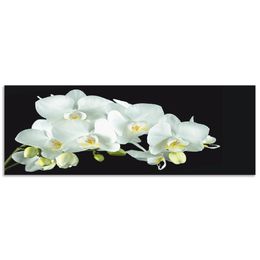 Küchenrückwand Artland "Weiße Orchidee auf schwarzem Hintergrund" Spritzschutzwände Gr. B/H: 170 cm x 60 cm, weiß Küchendekoration