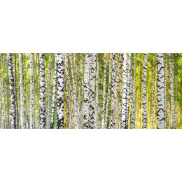 ARCHITECTS PAPER Fototapete "Birch Forest" Tapeten Gr. B/L: 6 m x 2,5 m, bunt (braun, grün, weiß) Fototapeten Natur