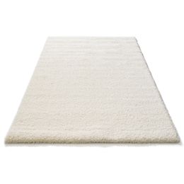 Hochflor-Teppich Andas "Ilvi" Teppiche Gr. B/L: 200 cm x 200 cm, 31 mm, 1 St., weiß (ivory) Esszimmerteppiche
