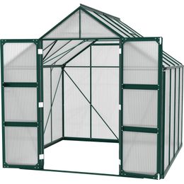 Gewächshaus Vitavia "Domus 6700" Gewächshäuser Gr. B/H/T: 257 cm x 253,9 cm x 263 cm, grün (smaragdgrün) Gewächshäuser