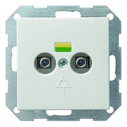 GIRA Schalter, Potenzialausgleichsdose System 55 Unterputz weiß Steckdose 2f glänzend
