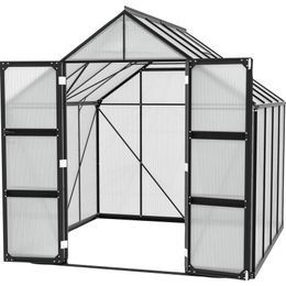 Gewächshaus Vitavia "Domus 6700" Gewächshäuser Gr. B/H/T: 257 cm x 253,9 cm x 263 cm, schwarz Gewächshäuser