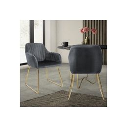 ML-Design Stuhl Esszimmerstühle Sitzfläche aus Samt mit Metallgestell Polsterstuhl (2 St)