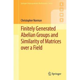 Finitely Generated Abelian Groups and Similarity of Matrices over a Field - Christopher Norman, Kartoniert (TB)