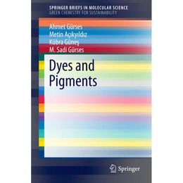 Springer International Publishing Dyes and Pigments - Ahmet Gürses, Metin Açikyildiz, Kübra Günes, Kartoniert (TB)