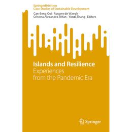 Springer Nature Islands and Resilience, Kartoniert (TB)