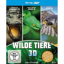 Königreich der Alligatoren, Vorsicht: Schlangen - Snakes 3D, Welt der Falken