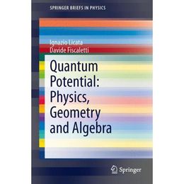 Quantum Potential: Physics, Geometry and Algebra - Ignazio Licata, Davide Fiscaletti, Kartoniert (TB)