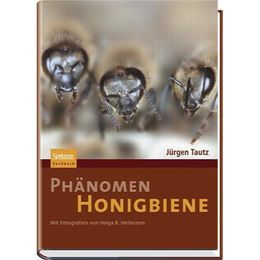 Phänomen Honigbiene - Jürgen Tautz, Gebunden